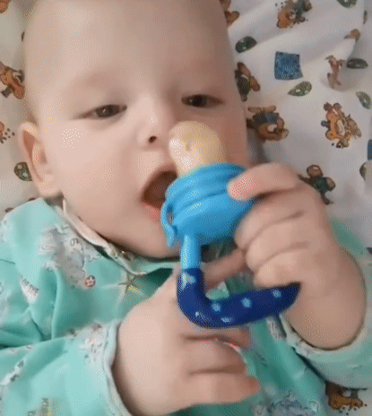 FREE Today! Baby Pacifier with Food Feeder – Inerja